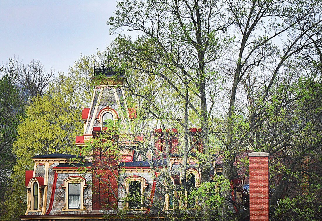 Picture This: Urban Forest | News, Sports, Jobs - News and Sentinel